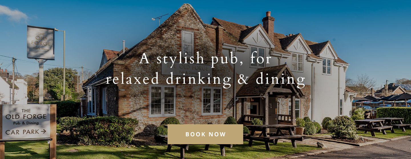 The Old Forge Country Pub & Restaurant in Winchester Hampshire